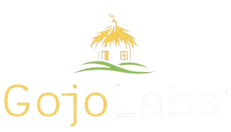 GojoLabs - We Create Impactful Digital Solutions